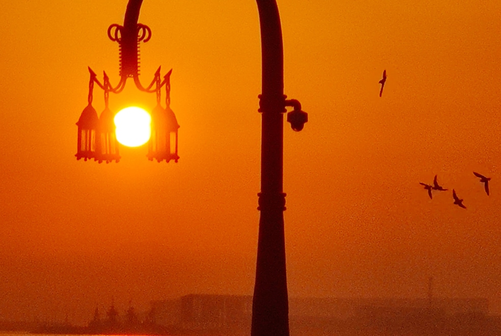 2024 OnePlus Photography Awards Showcase