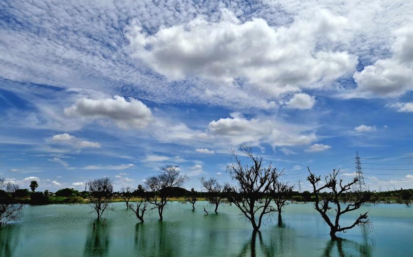 2024 OnePlus Photography Awards Showcase